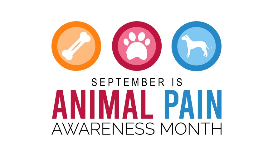 Animal pain awareness month Royalty Free Vector Image
