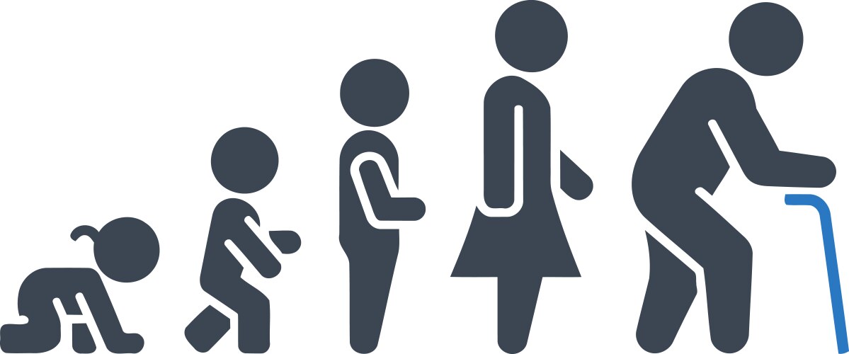 Growth Stages Vector Images (over 10,000)