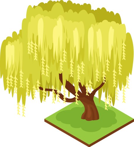 Willow cartoon tree Royalty Free Vector Image - VectorStock