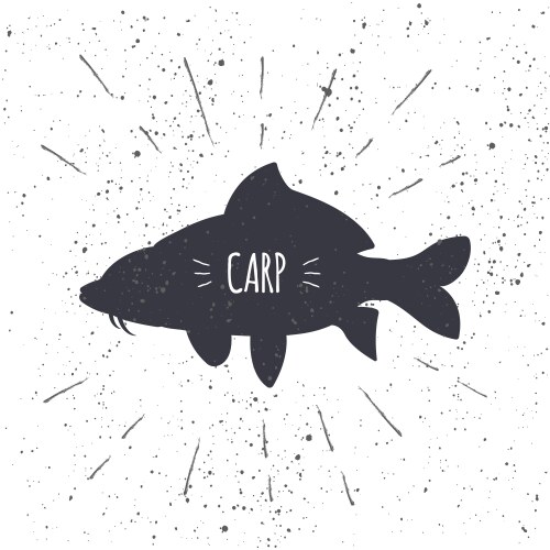 Common Carp Vector Images (over 450)