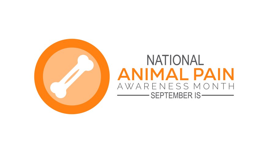 Animal pain awareness month Royalty Free Vector Image