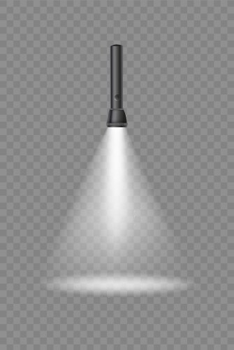 Flashlight on a transparent background shine Vector Image