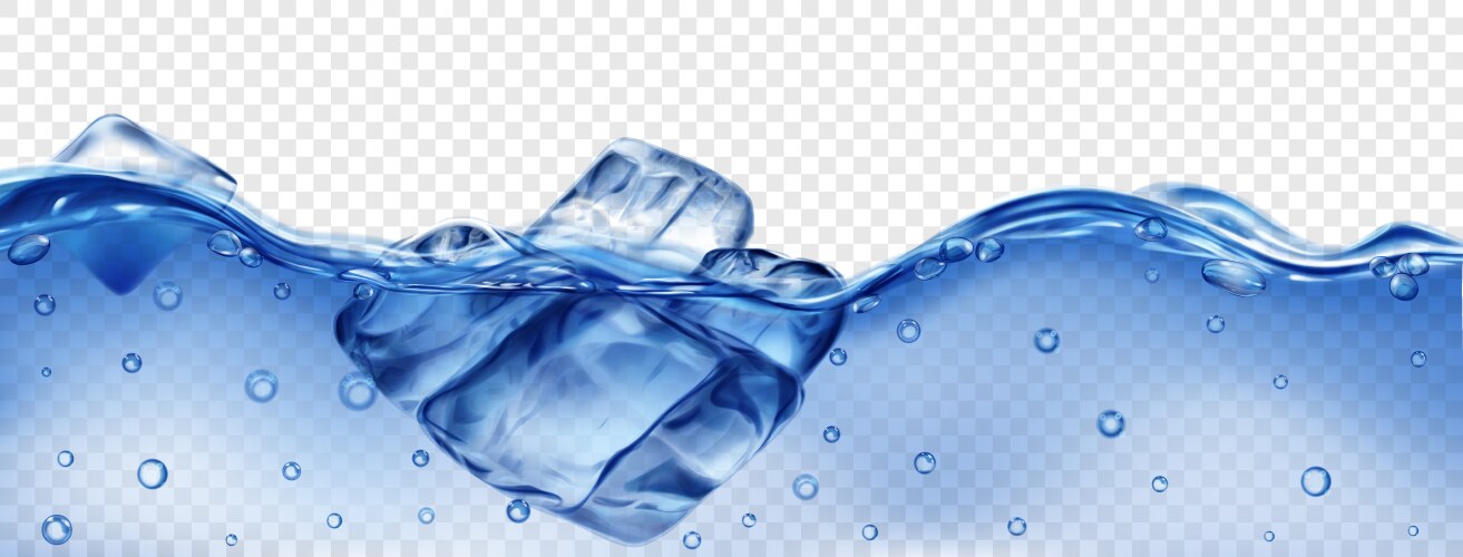 Ice cubes floating in water Royalty Free Vector Image