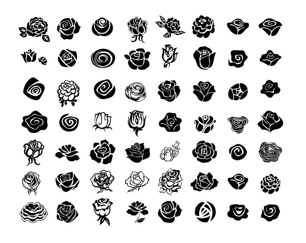 Roses design elements Royalty Free Vector Image
