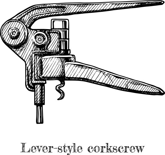 Corkscrew vintage style hand drawn sketch Vector Image