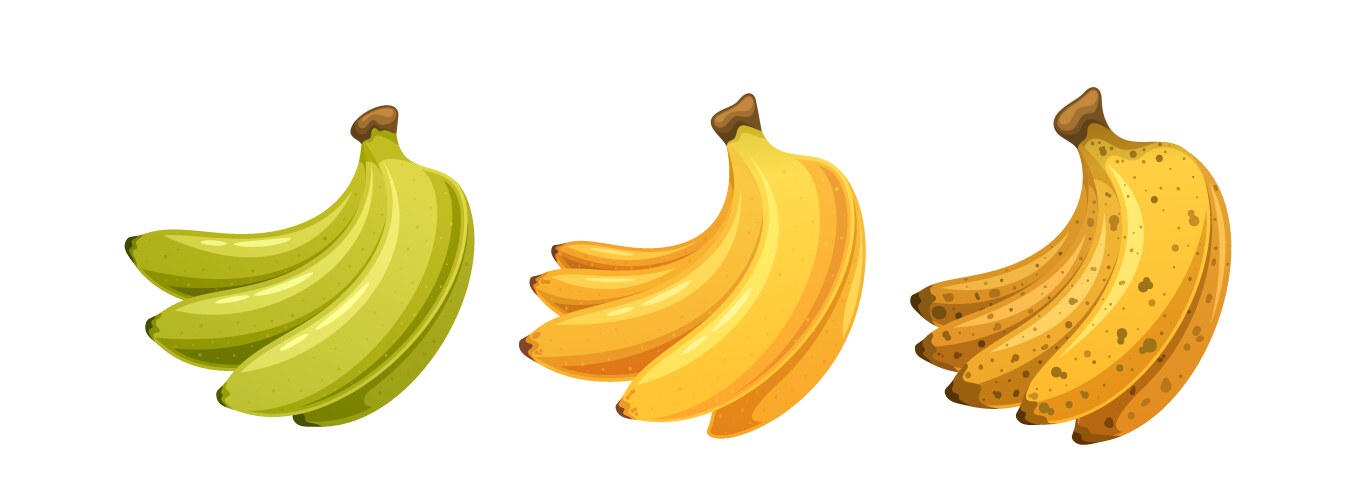 Sequence of bananas at different stages Royalty Free Vector