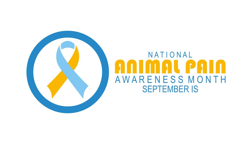 Animal pain awareness month Royalty Free Vector Image