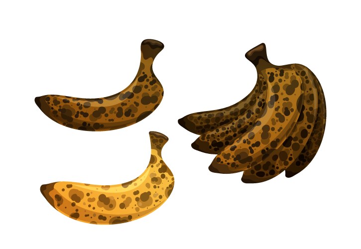 Collection of cartoon banana peels Royalty Free Vector Image