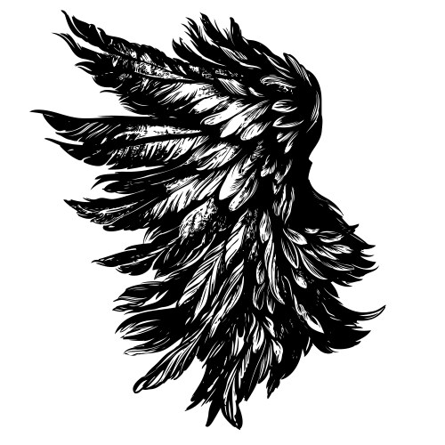 Angel wings bird collection cartoon hand Vector Image