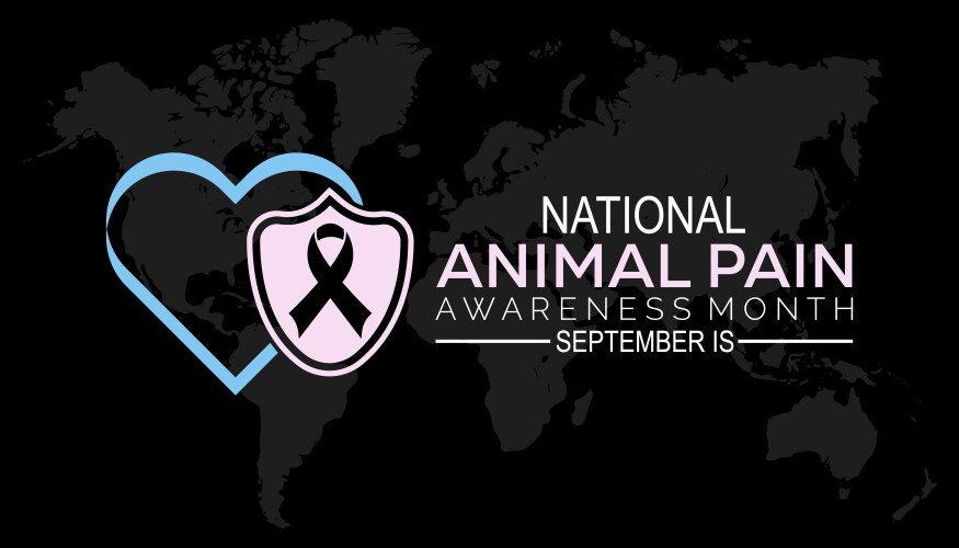 Animal pain awareness month Royalty Free Vector Image