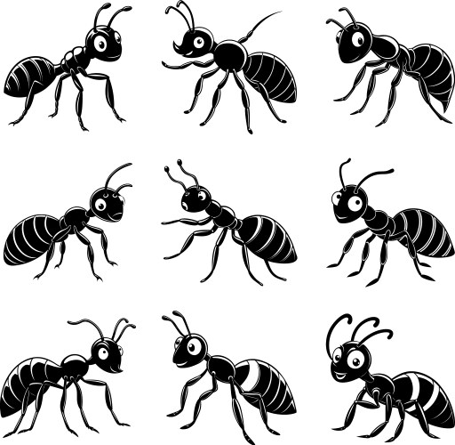 Insect Anatomy Vector Images (over 1,100)