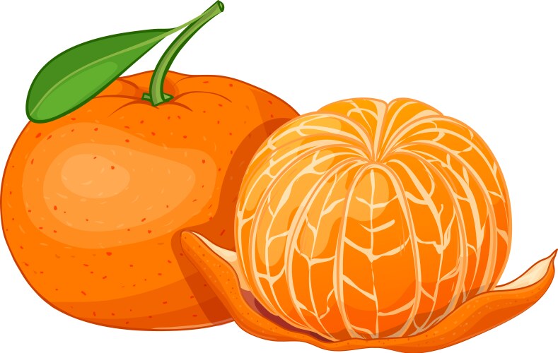 Mandarin Cartoon Vector Images (over 4,600)