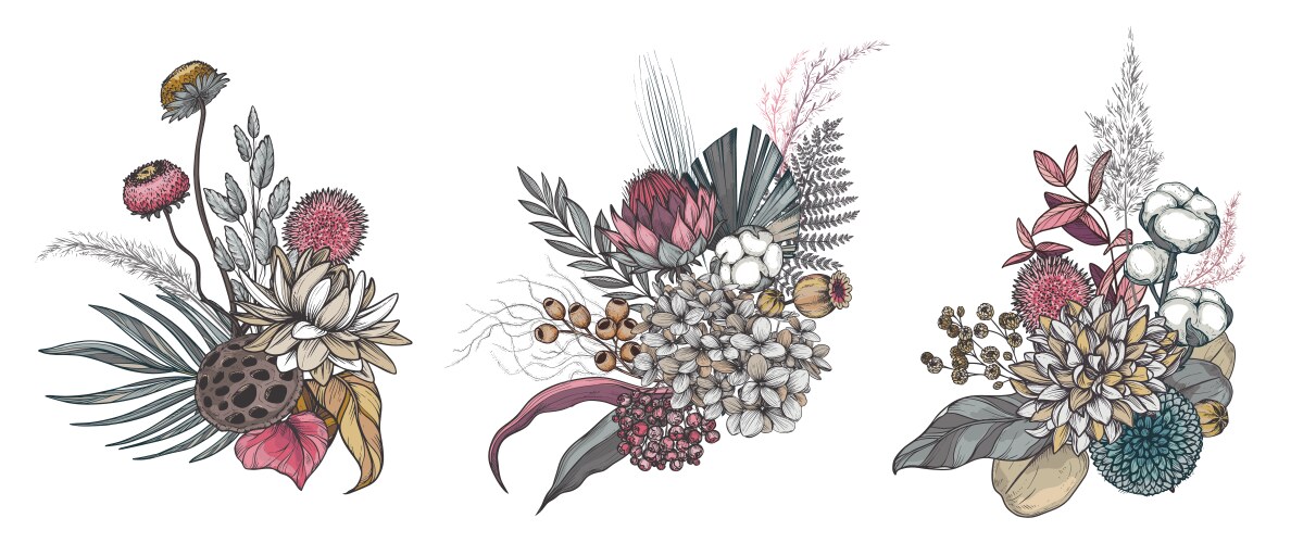 Dried Flower Vector Images (over 3,200)