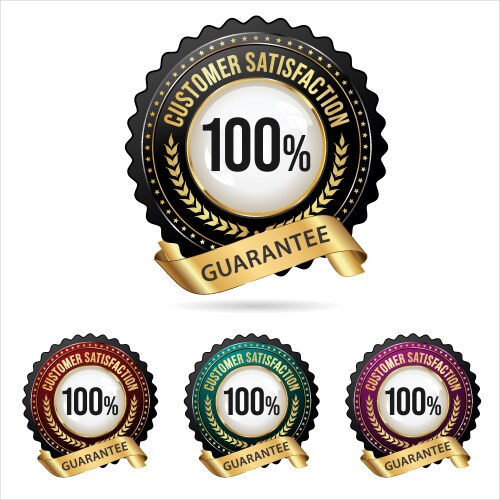 100 percent satisfaction guarantee Royalty Free Vector Image