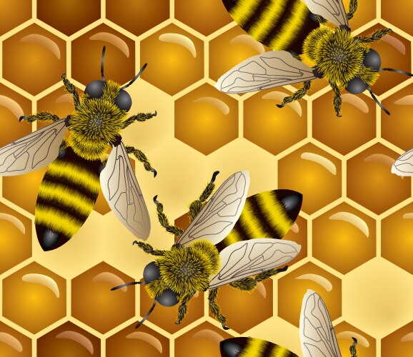 Honey Vector Images (over 110,000)