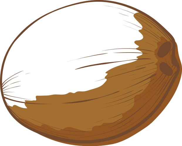 Coconut Texture Vector Images (over 5,500)