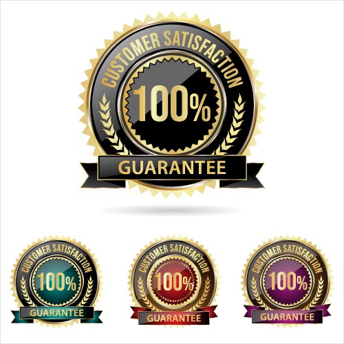 100 percent satisfaction guarantee Royalty Free Vector Image