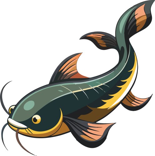 Catfish Vector Images (over 3,100)