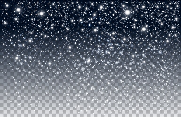 Falling winter snow flakes on transparent Vector Image