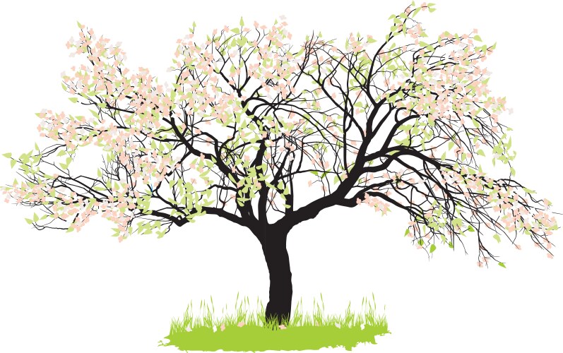 Spring Tree Vector Images (over 230,000)