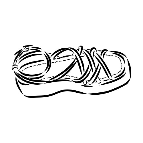 Strap sandal outline drawing Royalty Free Vector Image