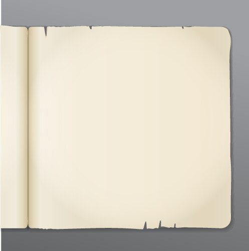 Blank cracked book pages Royalty Free Vector Image