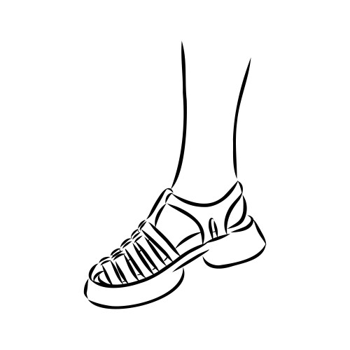 Strap sandal outline drawing Royalty Free Vector Image