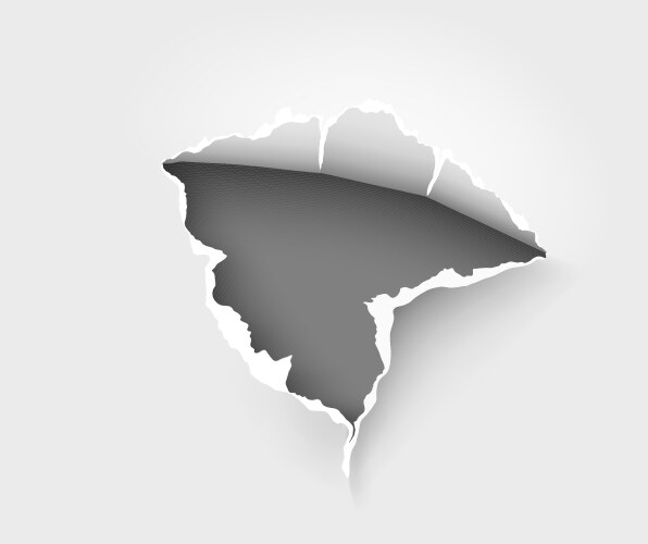 Hole torn in ripped paper Royalty Free Vector Image