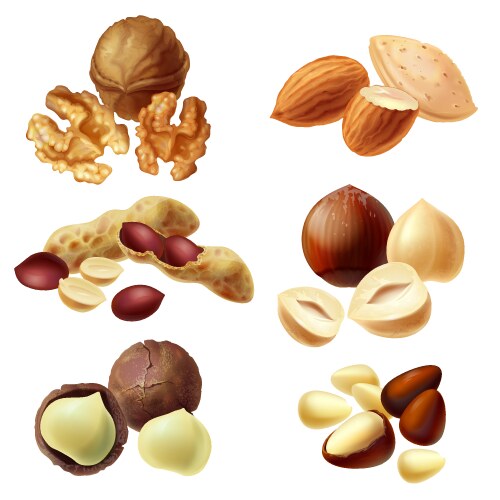 Nuts set Royalty Free Vector Image - VectorStock