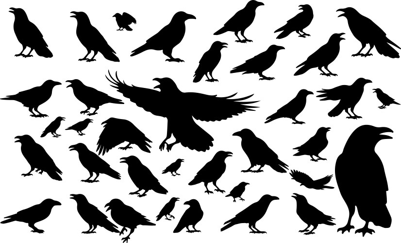 Crow Outline Vector Images (over 3,900)
