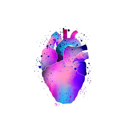Anatomical Heart Vector Images (over 7,100)
