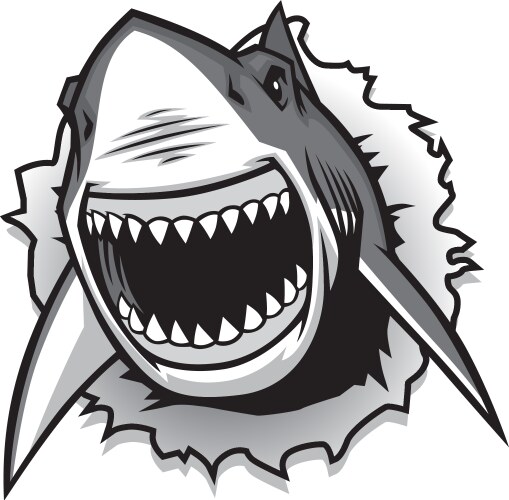 Shark Mouth Vector Images (over 4,100)