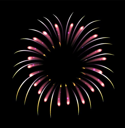 Fireworks sparkles in circles 3d realistic Vector Image