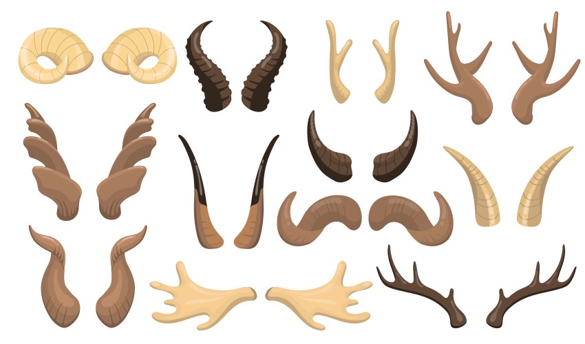 Wild animals sharp horns in pairs hunting trophy Vector Image