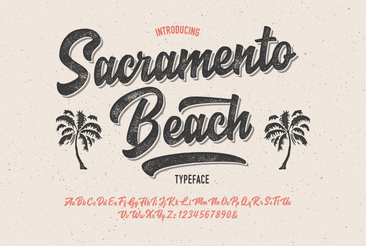 Original brush script font retro typeface Vector Image