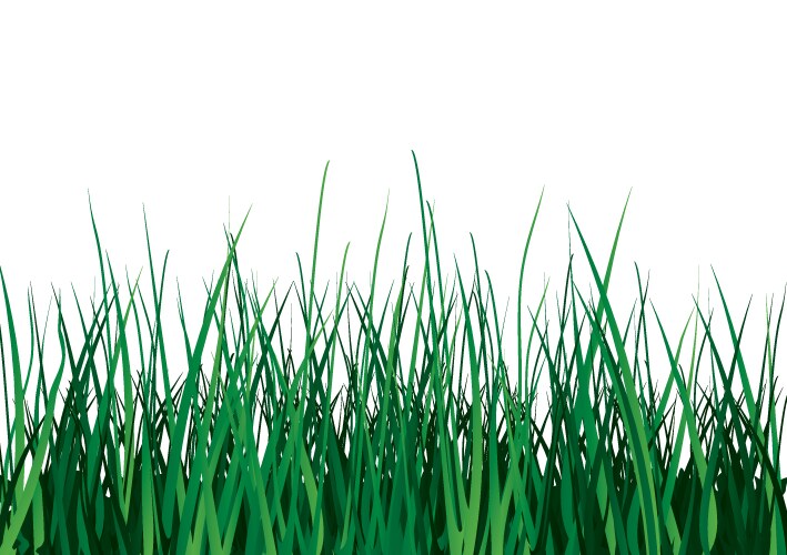Grass Vector Images (over 370,000)