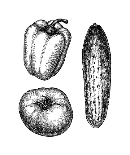 Pickle Sketch Vector Images (over 700)