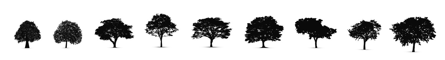 Ash Tree Silhouette Vector Images (over 670)
