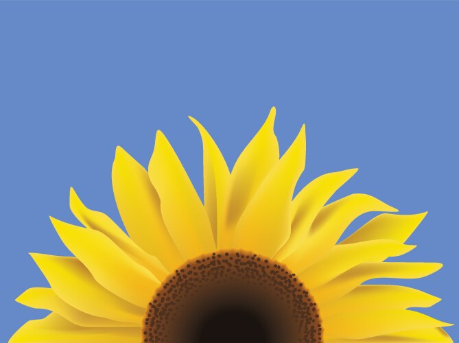 Sunflower Vector Images (over 53,000)
