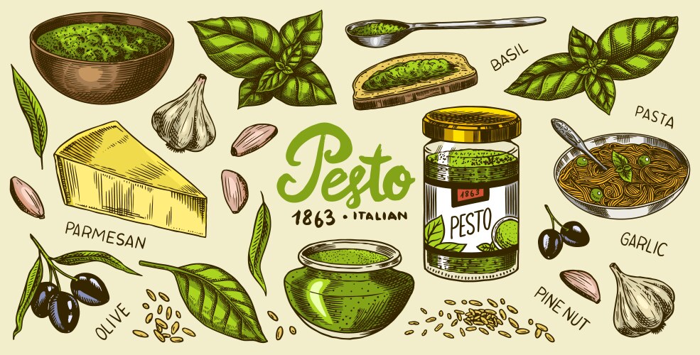Pesto sauce set basil leaves garlic pine nuts Vector Image