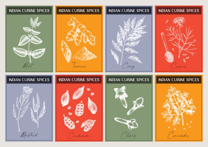 Indian spice labels set curry cumin mustard Vector Image