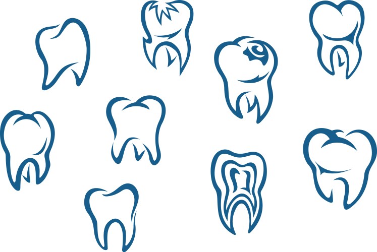 Teeth Vector Images (over 160,000)