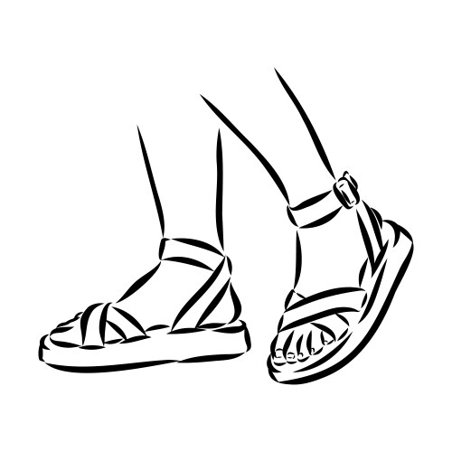 Strap sandal outline drawing Royalty Free Vector Image
