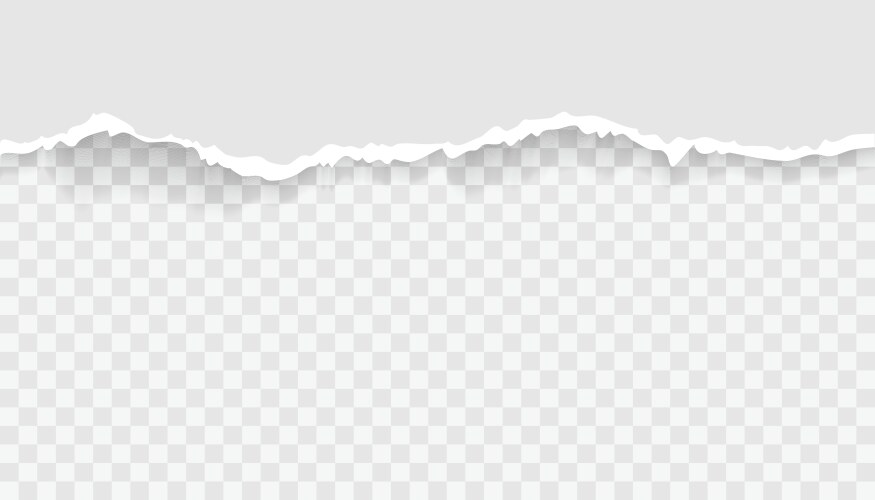 White ripped paper border isolated Royalty Free Vector Image