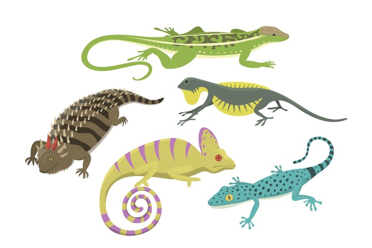 Lizard Outline Vector Images (over 4,800)