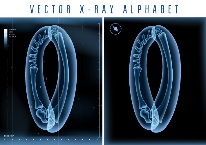 Blue 3d x ray style alphabet Royalty Free Vector Image