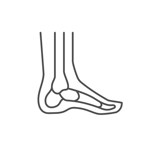 Foot Outline Vector Images (over 50,000)