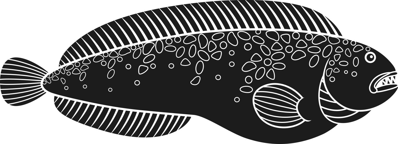 Redtail catfish Royalty Free Vector Image - VectorStock