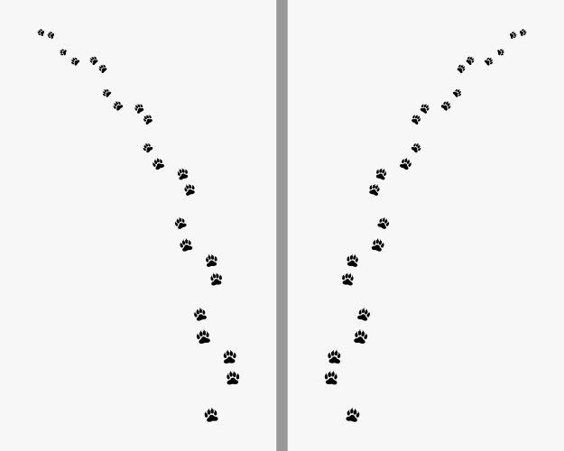 Footprints of man and dog Royalty Free Vector Image