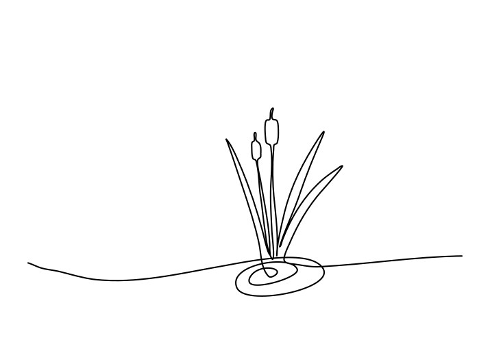 Puddle Sketch Vector Images (over 340)